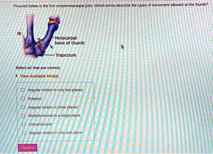 SOLVED: Pictured below is the first carpometacarpal joint. Which terms ...