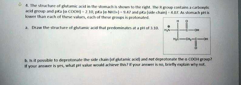 SOLVED: The structure of glutamic acid in the stomach is shown to the ...
