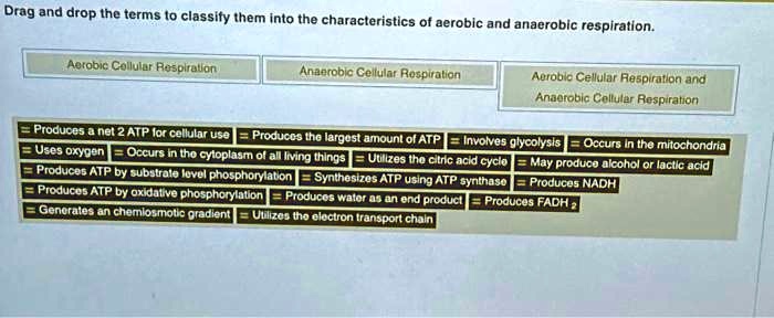 Drag and drop the terms to classify them into the characteristics of ...