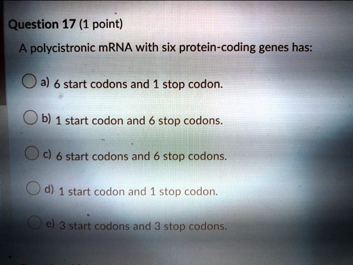 SOLVED: Question 17 (1 point) polycistronic mRNA with six protein ...