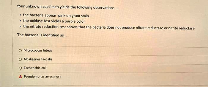 SOLVED: Texts: Your unknown specimen yields the following observations ...