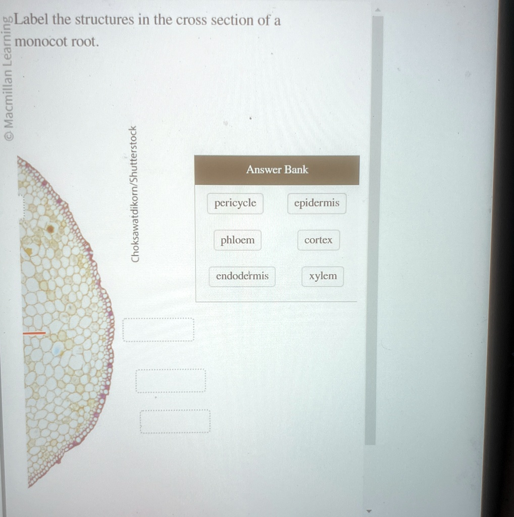 Macmillan Learning Label the structures in the cross section of a ...