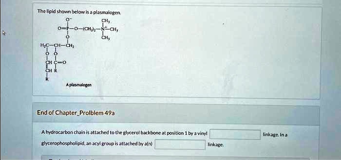 SOLVED: The lipid shown below is a plasmalogen. O¯ CH3 O=P−O−(CH2)2− ...