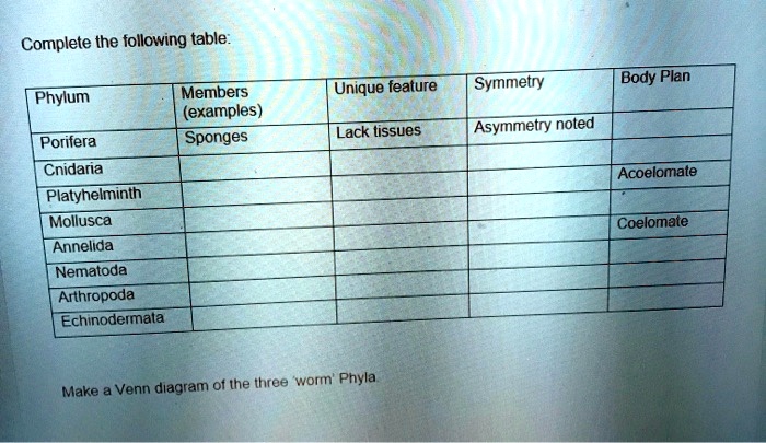 SOLVED: Complete the following table: Unique feature Symmetry Body Plan Phylum Members (examples ...