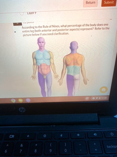 SOLVED: According to the Rule of Nines, what percentage of the body ...