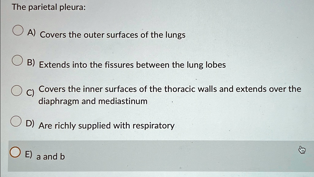 the parietal pleura a covers the outer surfaces of the lungs b extends ...