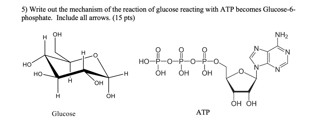 SOLVED: Write out the mechanism of the reaction of glucose reacting ...