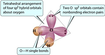 SOLVED: Tetrahedral arrangement of four sp? hybrid orbitals about ...