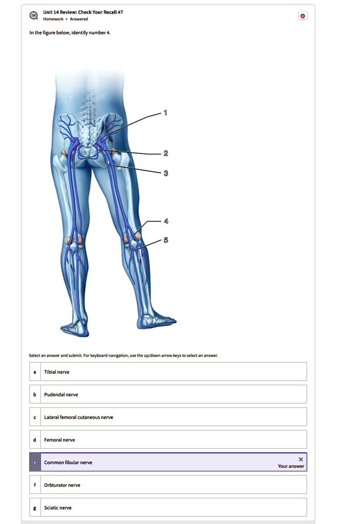 SOLVED: Unit 14 Review: Check Your Recall 47 pazamsuy xaomawoH In the ... SOLVED: Unit 14 Review: Check Your Recall 47 pazamsuy xaomawoH In the ...