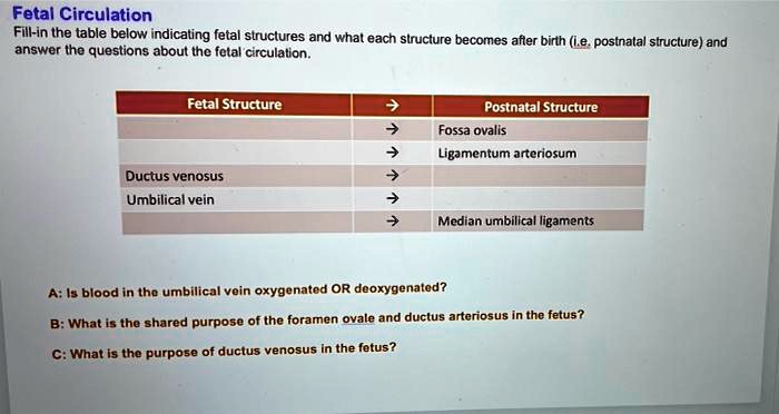 SOLVED: could i get some help on this question? im unsure about it ...