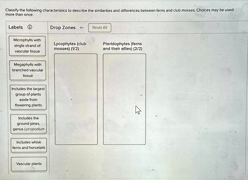 SOLVED: Classify the following characteristics to describe the similarities and differences ...