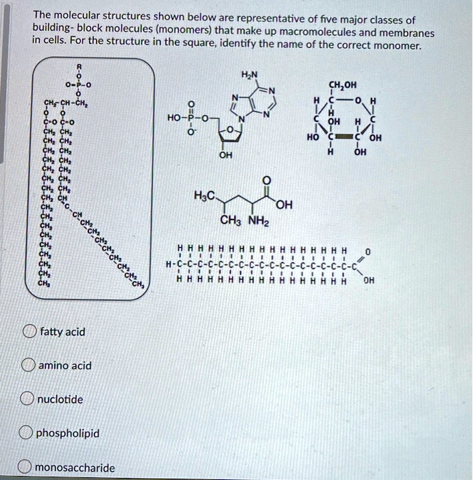 SOLVED: The molecular structures shown below are representative of five major classes of ...