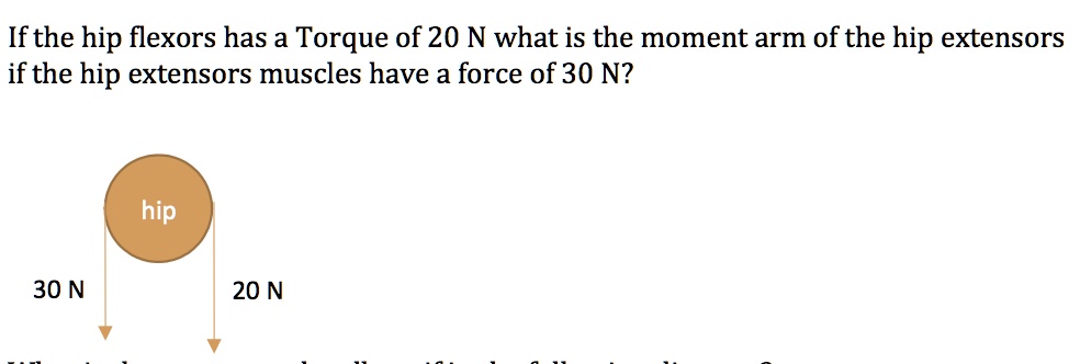 If the hip flexors has a Torque of 20 N what is the moment arm of the ...