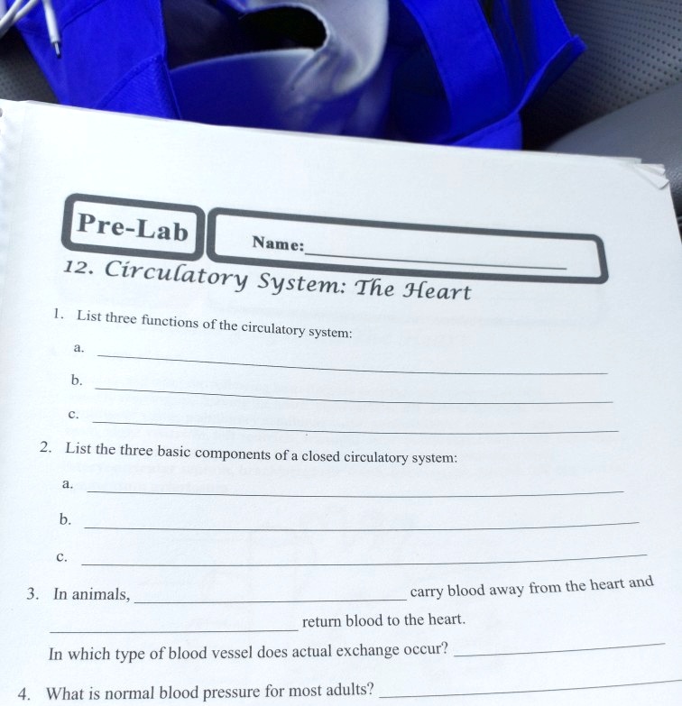 SOLVED: Pre-Lab Name: 12. Circulatory System: The Heart List three ...