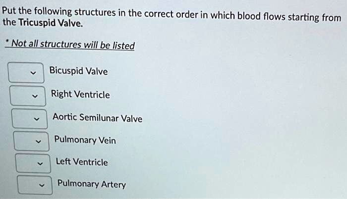 SOLVED: Put the cfollowing structures in the correct orderin which blood flows starting from the ...