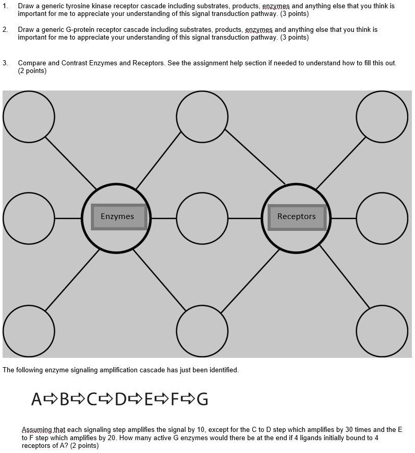 SOLVED: Draw a generic tyrosine kinase receptor cascade, including ...