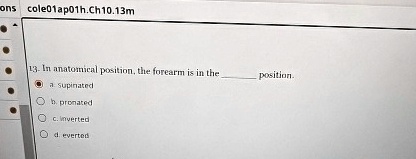 13. In anatomical position, the forearm is in the position. a ...