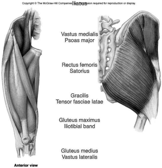 Copyright © The McGraw-Hill Companies iacussion required for ...