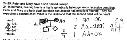 SOLVED: 24-25. Peter and Mary have a son named Joseph. In humans ...