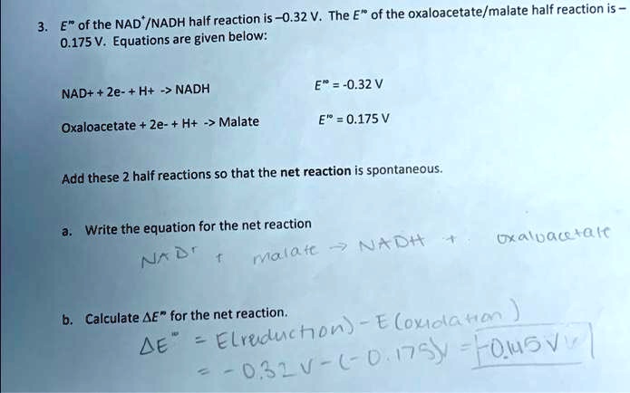 [GET ANSWER] 3. E" of the NAD^+/NADH half reaction is -0.32 V. The E ...