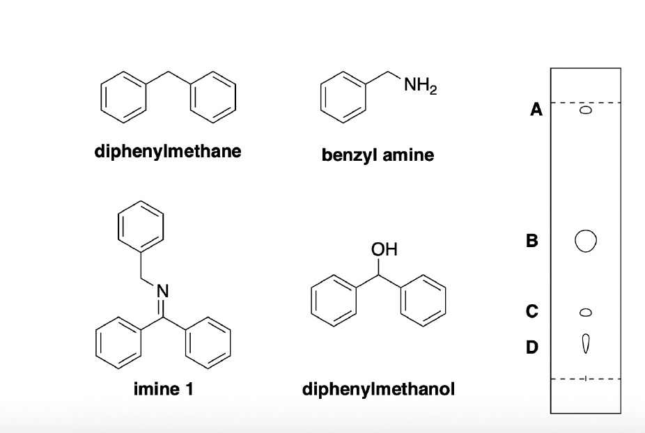 SOLVED: Which is which on the TLC plate? NH2 diphenylmethane benzyl ...