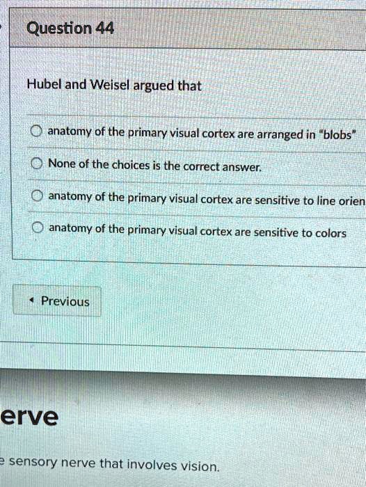 SOLVED: Hubel and Weisel argued that the anatomy of the primary visual ...