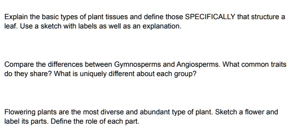 Explain the basic types of plant tissues and define those SPECIFICALLY ...