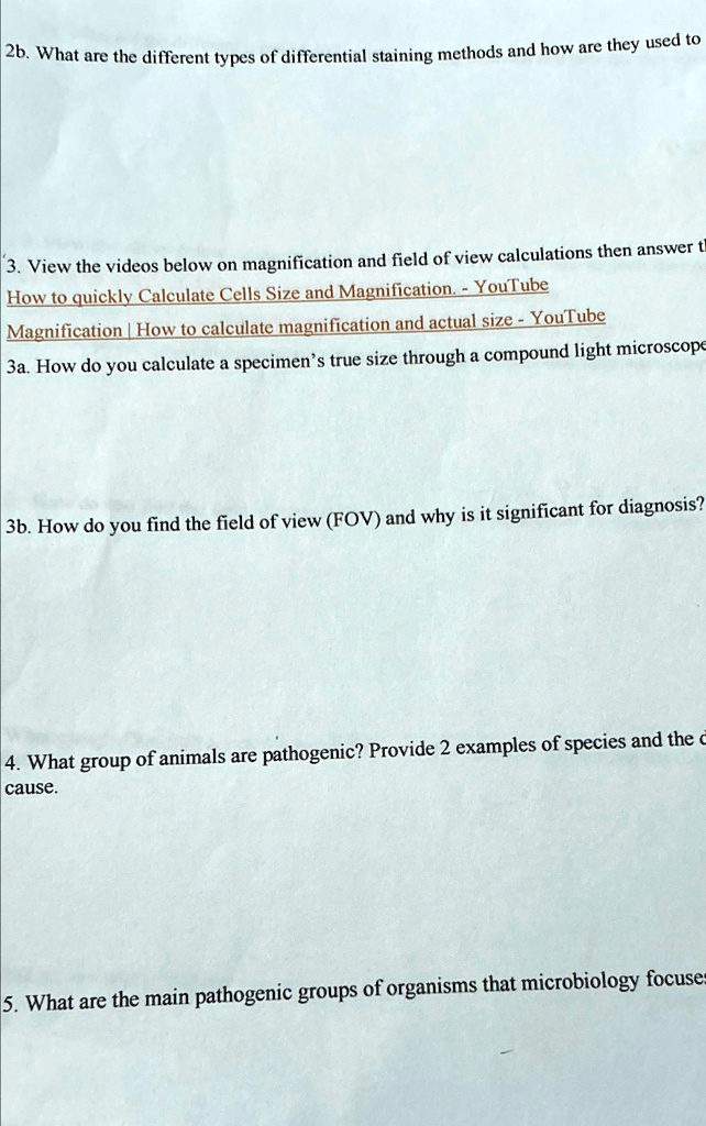 2b. What are the different types of differential staining methods and ...