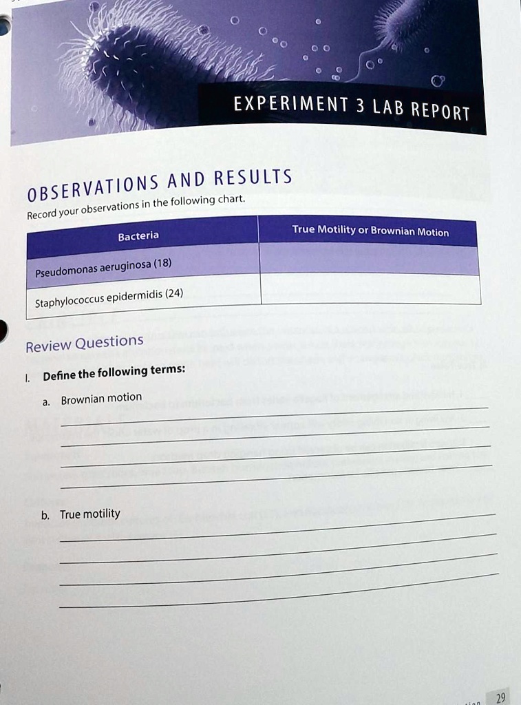 SOLVED: EXPERIMENT 3 LaB REPORT AND RESULTS OBSERVATIONS observations ...