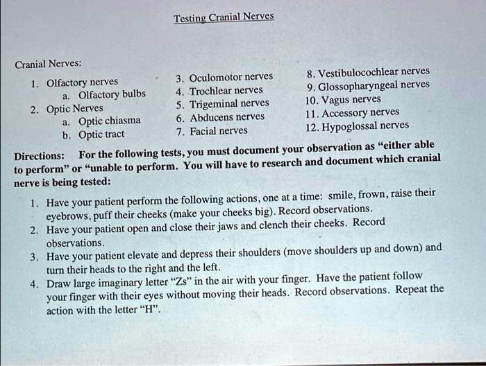 SOLVED: Testing Crnial Nerves Cranial Nerves: Oculomotor nerves ...