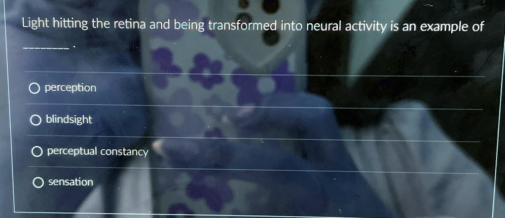 Light hitting the retina and being transformed into neural activity is ...