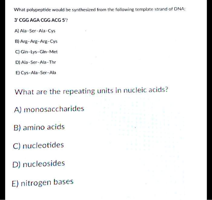 what polypeptide would be synthesized from thc following template ...