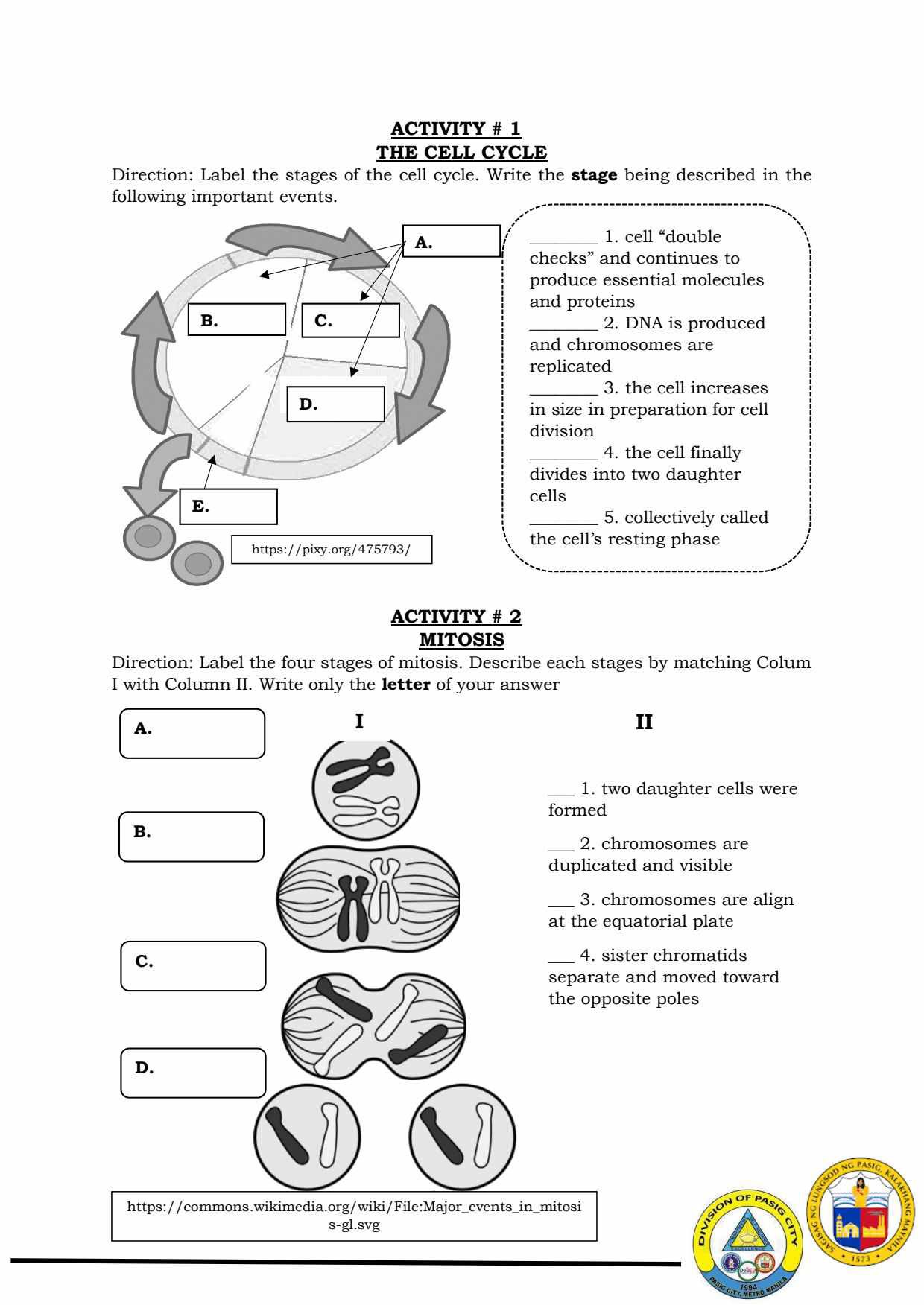 ACTIVITY # 1 THE CELL CYCLE Direction: Label the stages of the cell ...