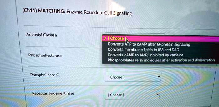 ch11 matching enzyme roundup cell signalling adenylyl cyclase choose ...