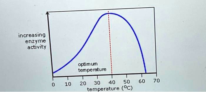 increasing enzyme activity optimum temperature 0 10 20 30 40 50 60 70 ...