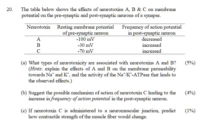 SOLVED: The table below shows the effects of neurotoxins A, B, and C on ...