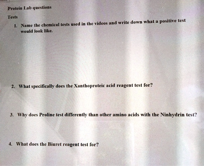 protein lab questions tests positive test name the chemical tests used ...
