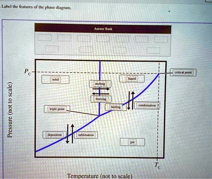 please help me find which one is incorrect here label the features of the phase diagram answer ...
