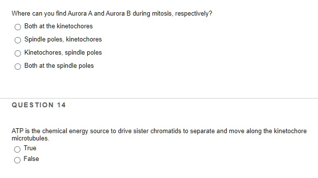 SOLVED: Where can you find Aurora A and Aurora B during mitosis ...