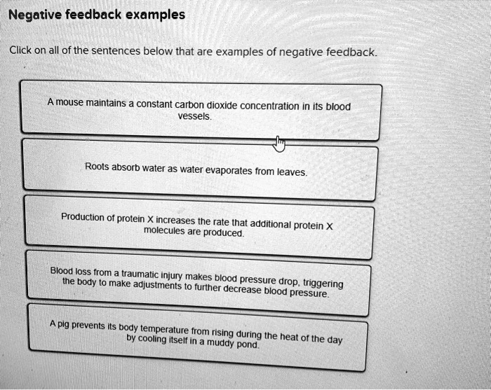 negative feedback examples click on all of the sentences below that are ...