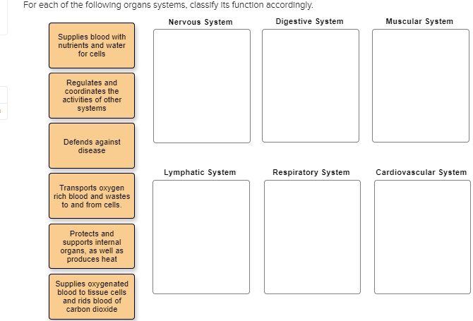 SOLVED: For each of the following organ systems, classify its function ...