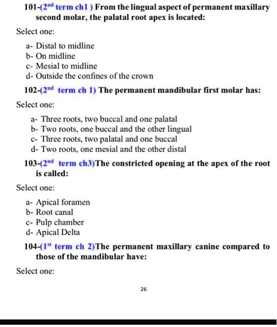 101-(2nd term ch1) From the lingual aspect of permanent maxillary ...
