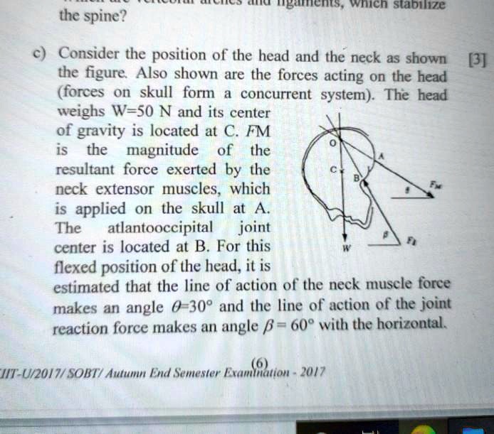[GET ANSWER] the spine? its, which stabilize c) Consider the position ...