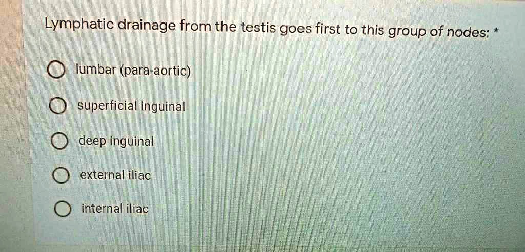SOLVED: Lymphatic drainage from the testis goes first to this group of ...