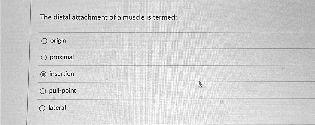 The distal attachment of a muscle is termed: O origin O proximal O ...