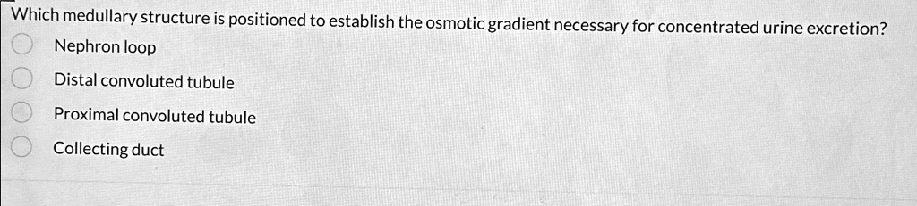 Which medullary structure is positioned to establish the osmotic ...