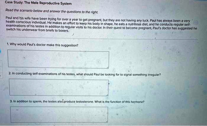 Case Study: The Male Reproductive System Read the scenario below and ...