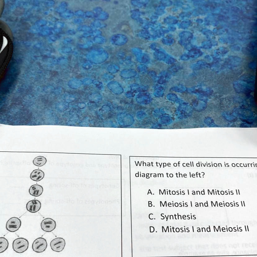 What type of cell division is occurring in the diagram to...