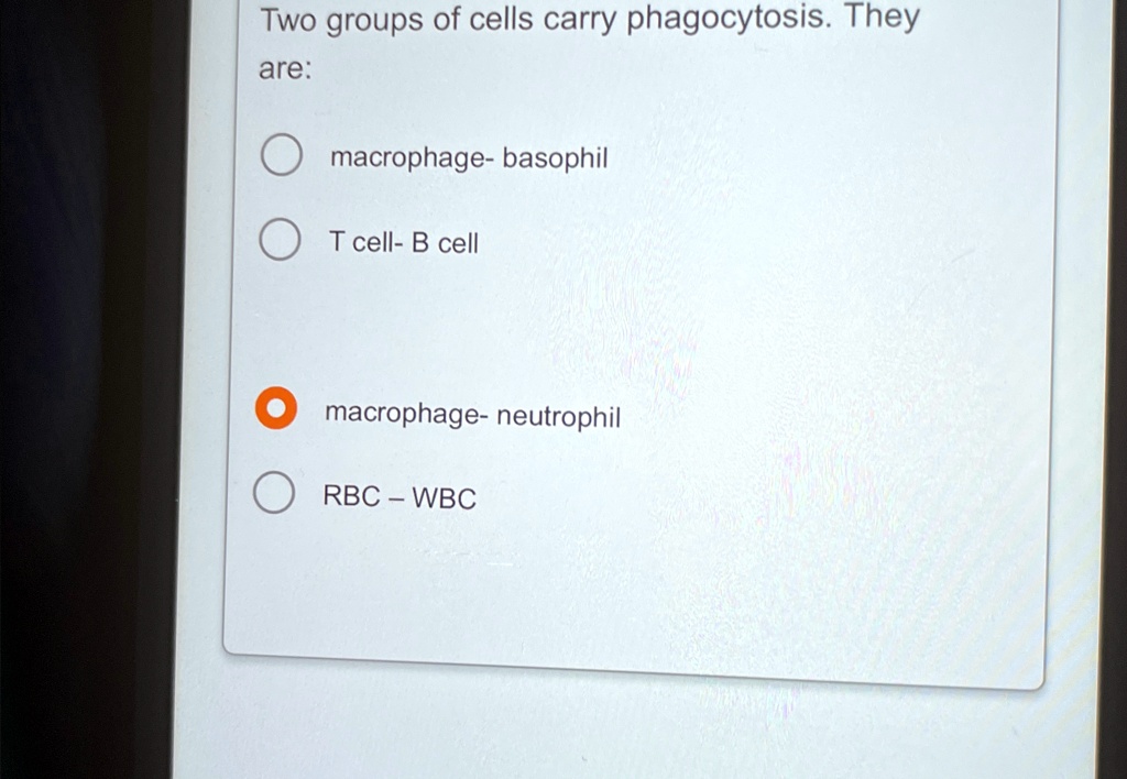 Two groups of cells carry phagocytosis. They are: macrophage- basophil ...