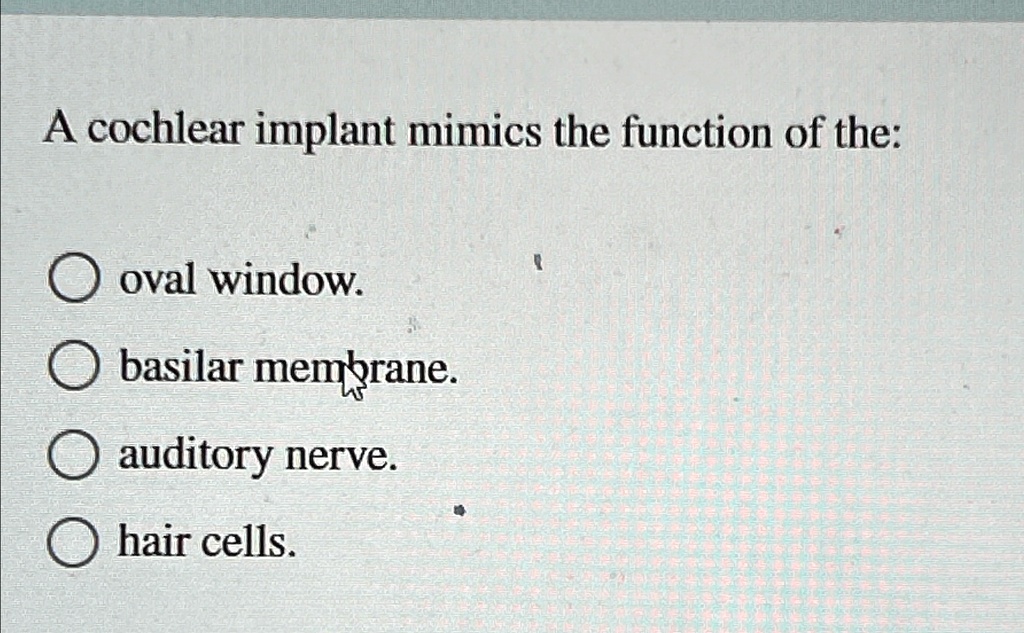 A cochlear implant mimics the function of the: oval window. basilar ...
